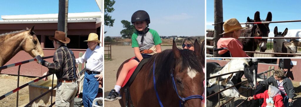 Participate - Angel Horses, Inc.